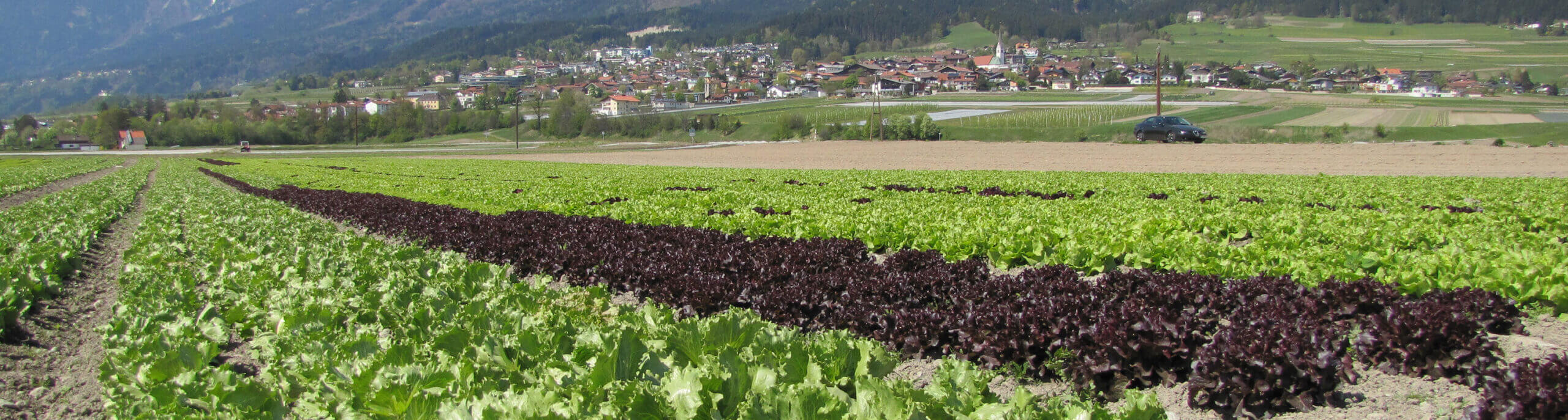 Home - EuroChem Group